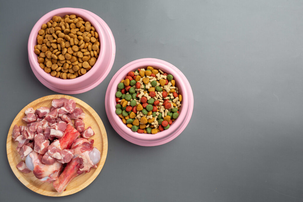 Comida para Perros: Consejos para elegir la mejor comida
